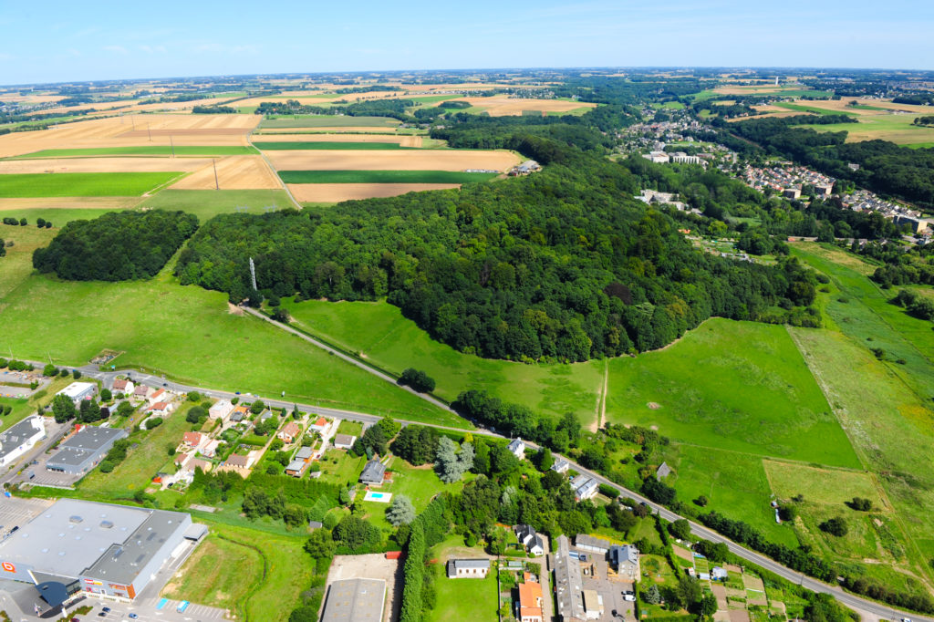 Montivilliers - Nature en ville